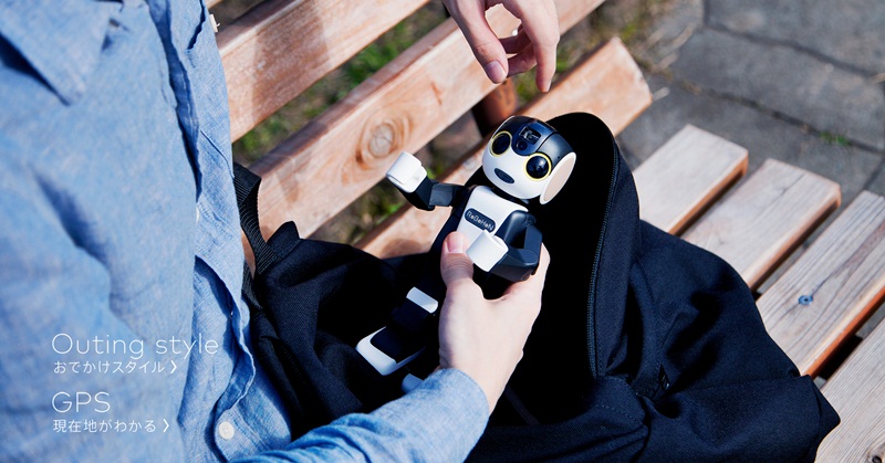 Sharp to Explore Use of Humanoid Robot to Guide Tourists in Kyoto ...
