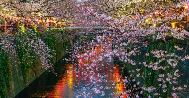 What are the Best Spring Activities in Japan? - Japan OFW